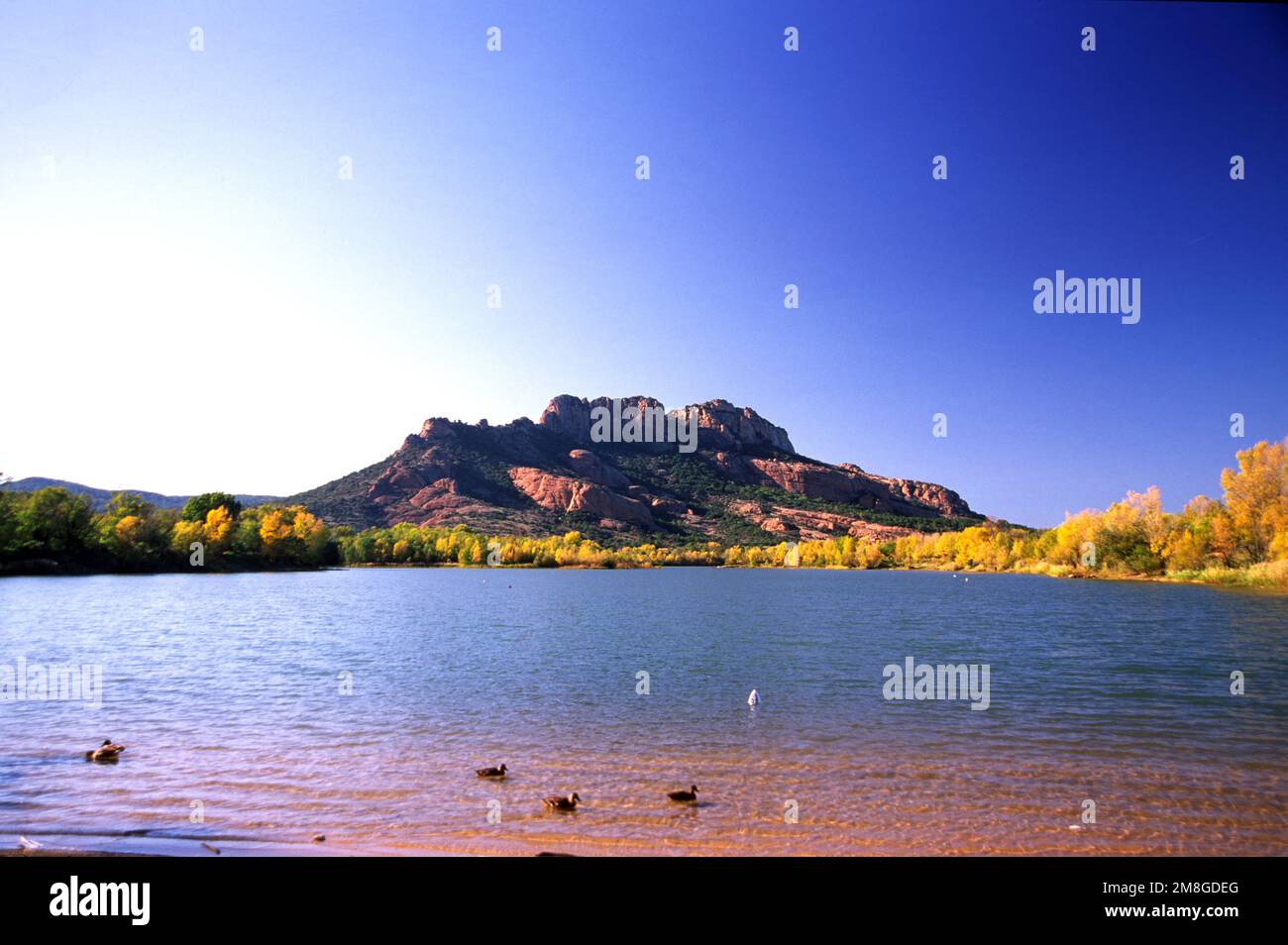 the lake of Roquebrune sur Argens with the red rock of Roquebrune in ...