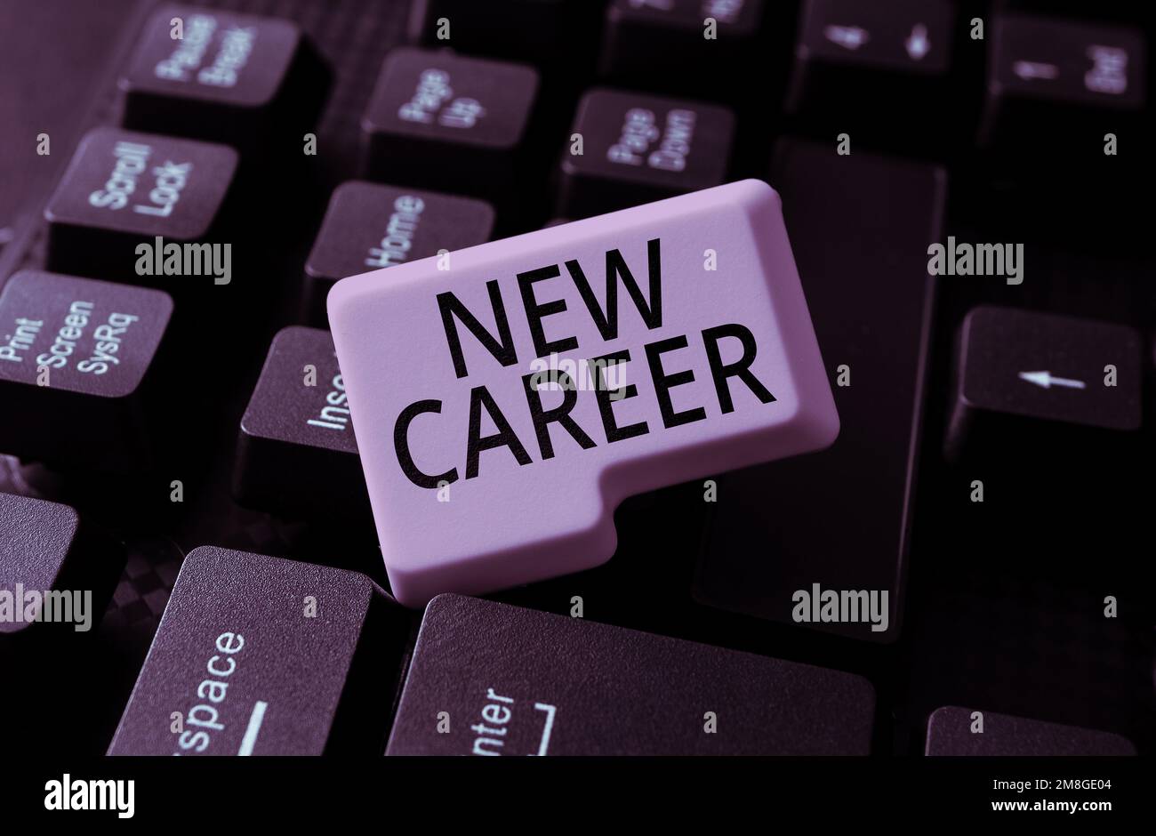 Text sign showing New Career. Concept meaning a change to a different ...