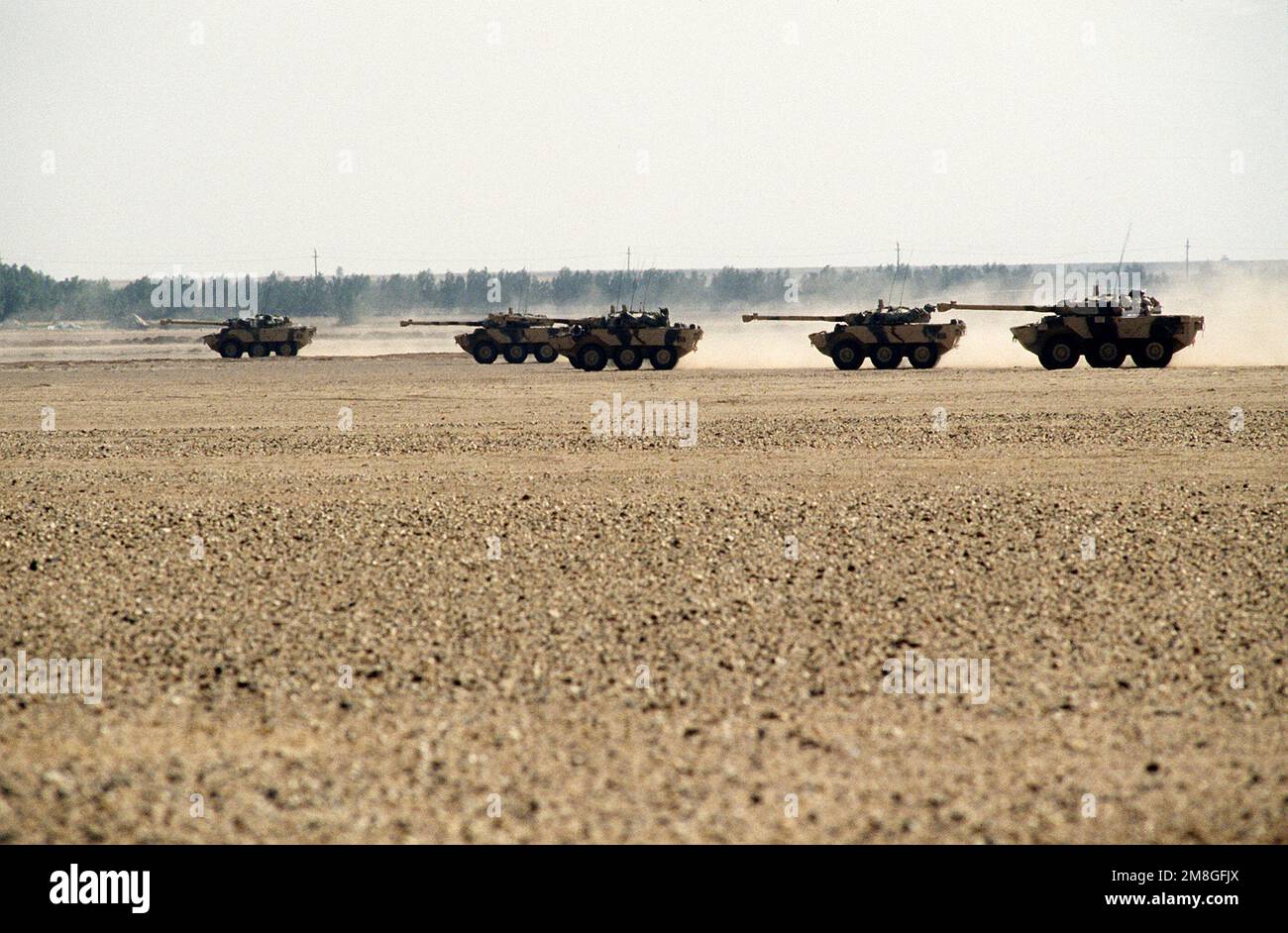 French AMX-10RC reconnaissance vehicles move across the desert as part ...