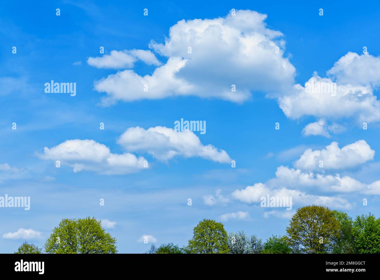White clouds against the blue sky Stock Photo - Alamy