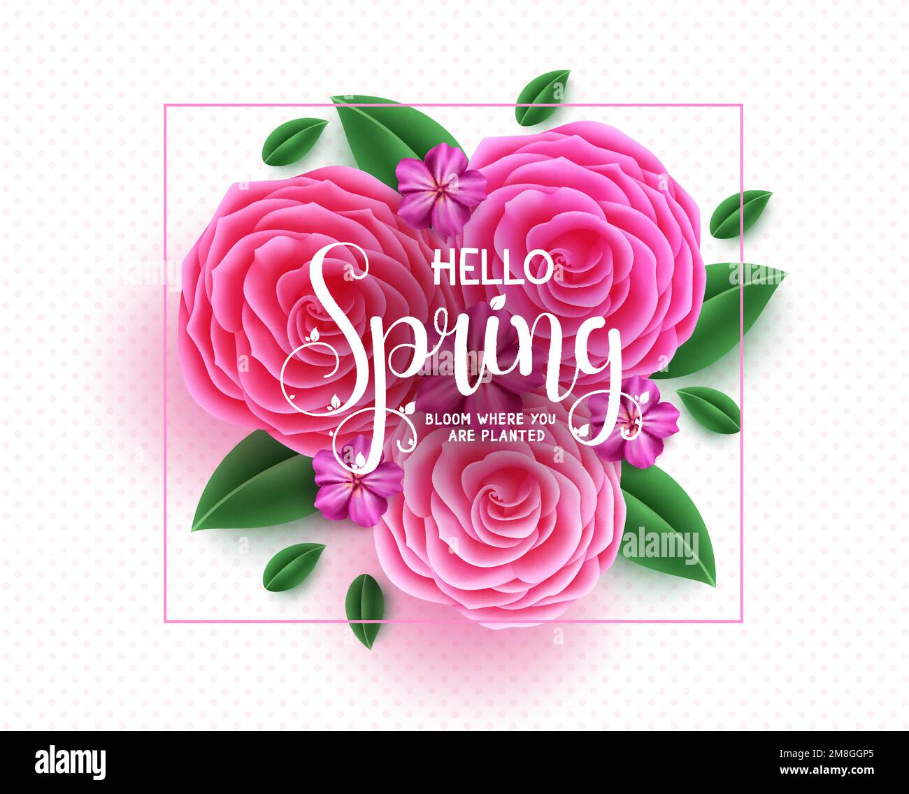 Spring vector background. Hello spring text with rose flower element ...
