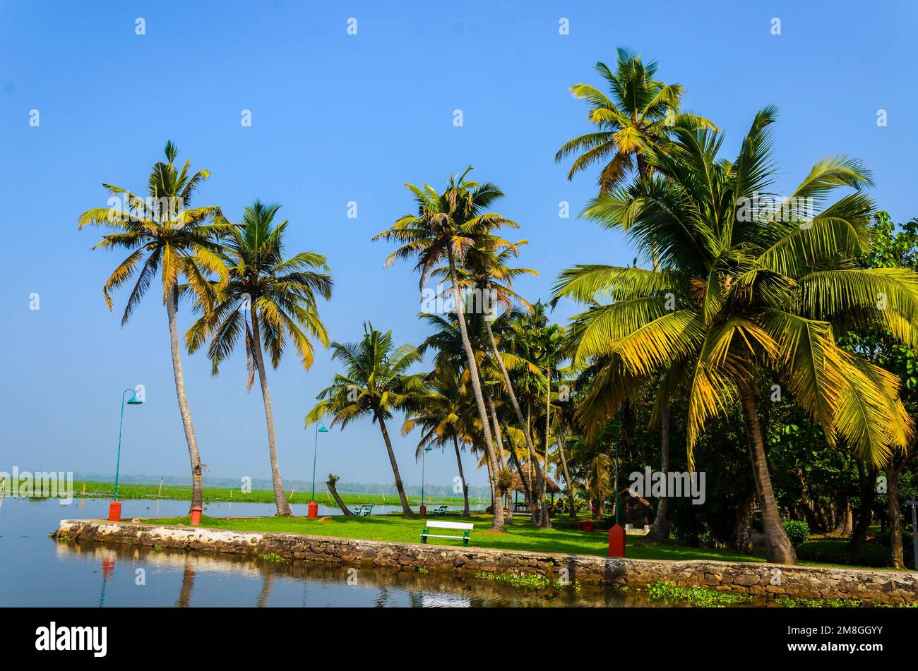 A scenic view from Kumarakom Backwater, in Kerala, India Stock Photo ...