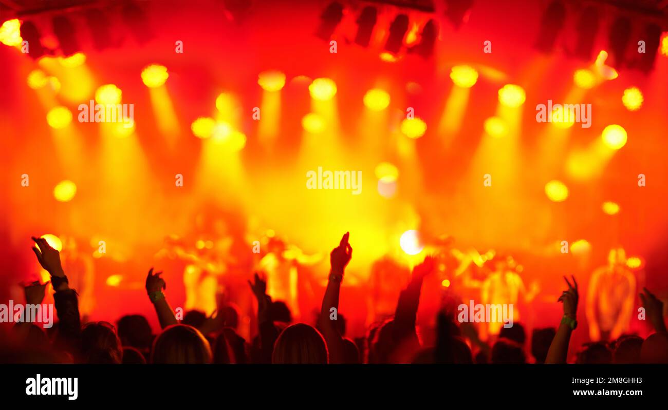 This partys on fire. Rearview of an audience with hands raised at a ...