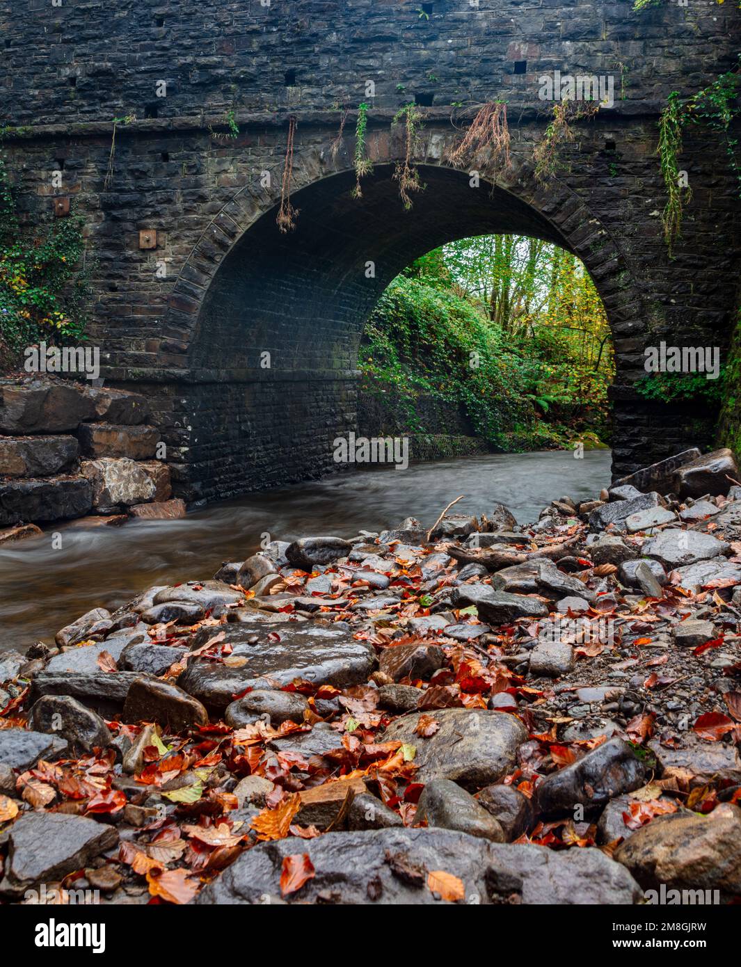An old stone bridge over a calm river Stock Photo - Alamy