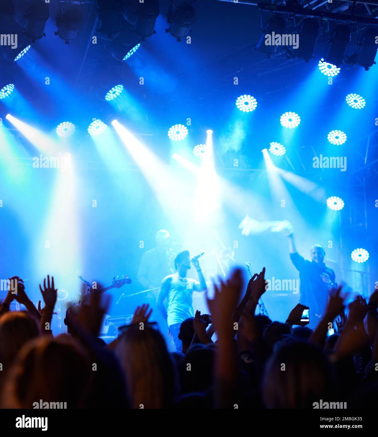 Music in the making. Rearview of an audience with hands raised at a ...