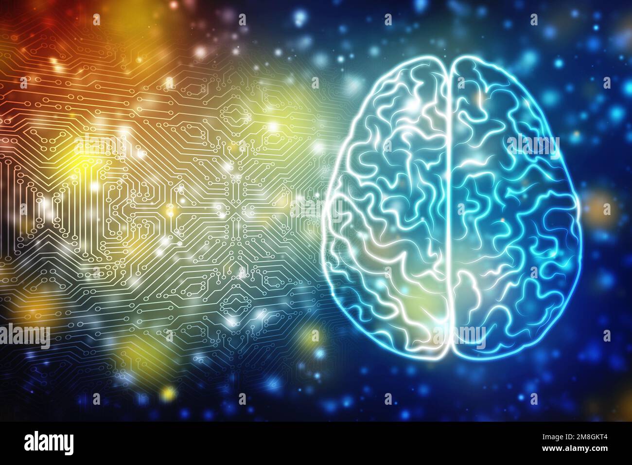 Human brain 2d illustration, Digital illustration of Human brain ...