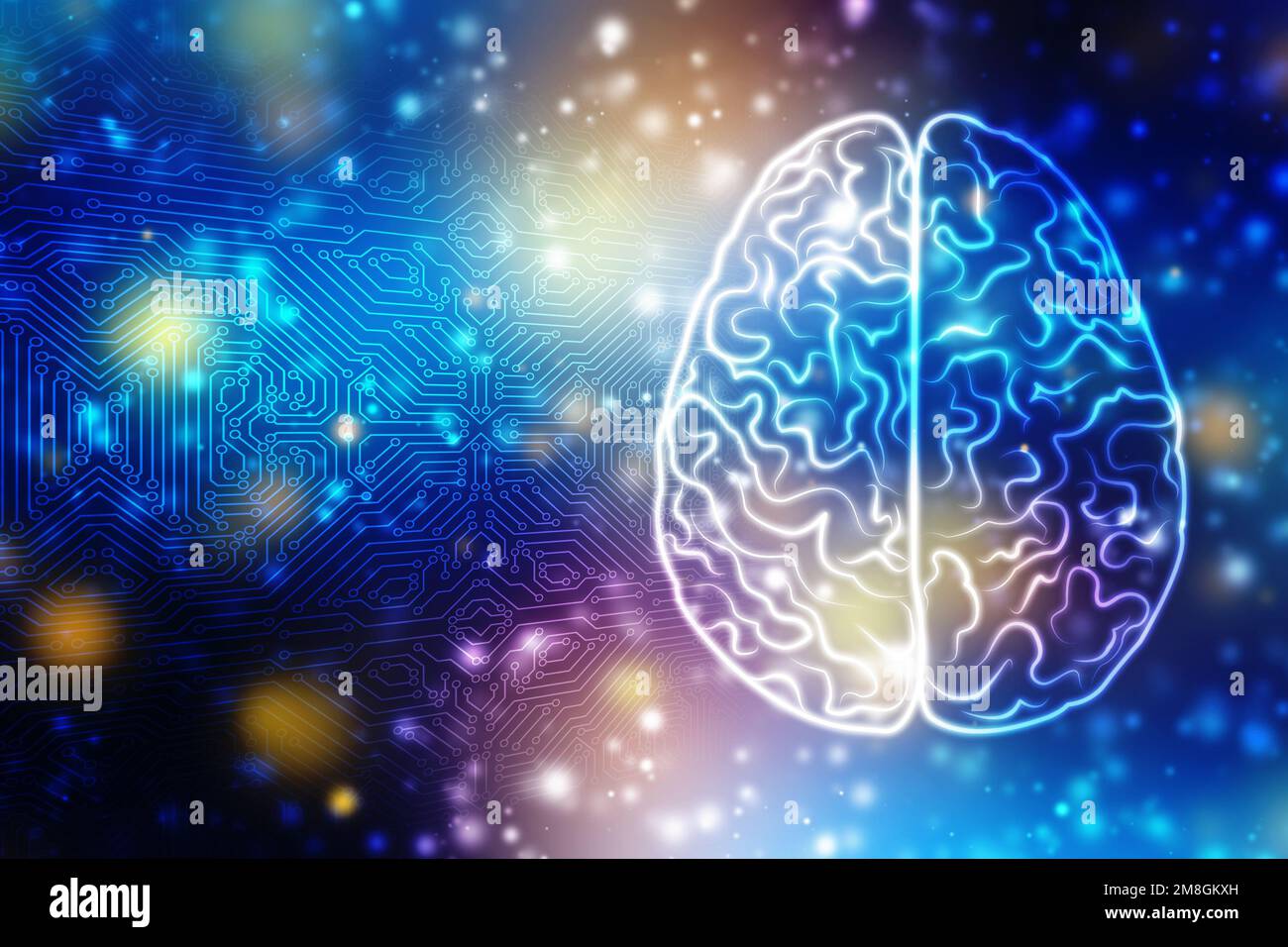 Human brain 2d illustration, Digital illustration of Human brain ...