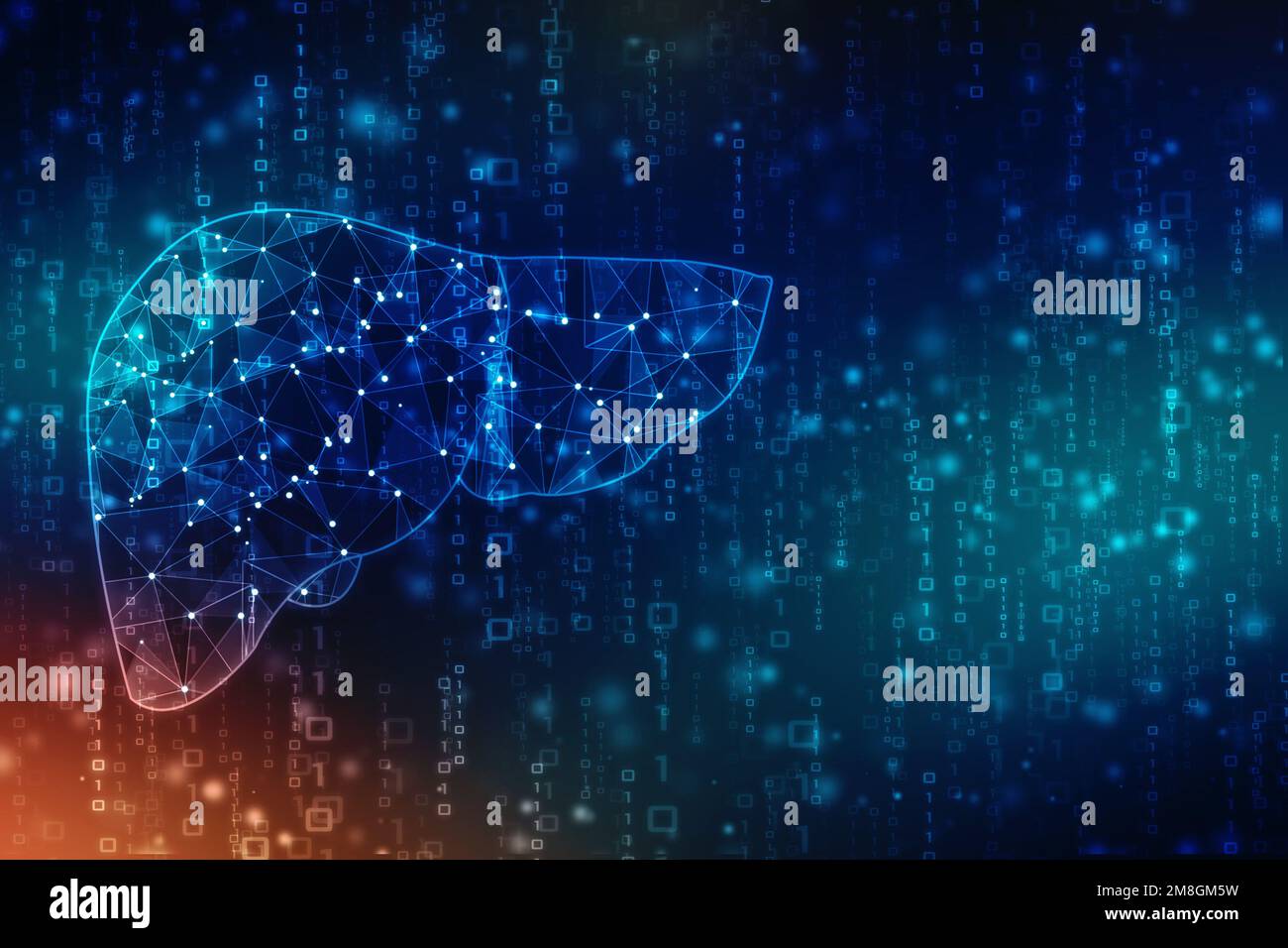 2d illustration human liver, Medicine anatomy, organ human, health and ...