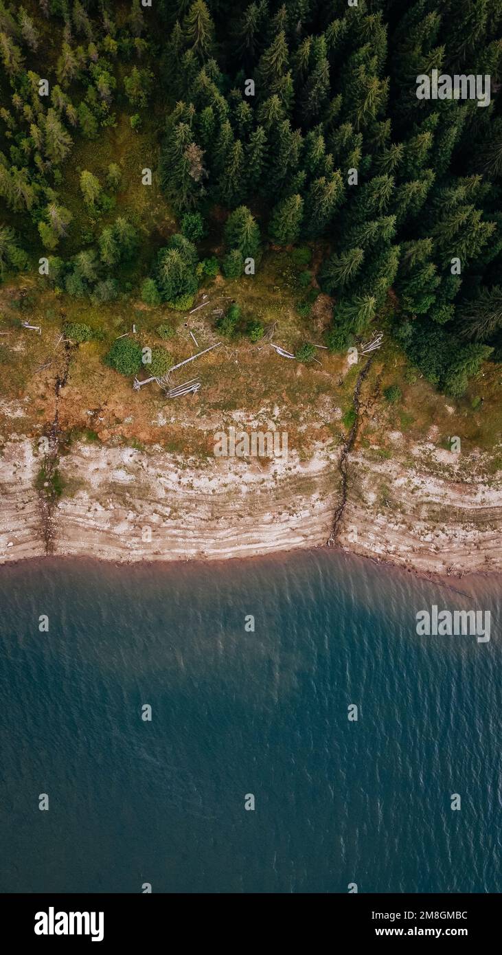 A top view of the edge of a lake with the dense forest with green trees ...