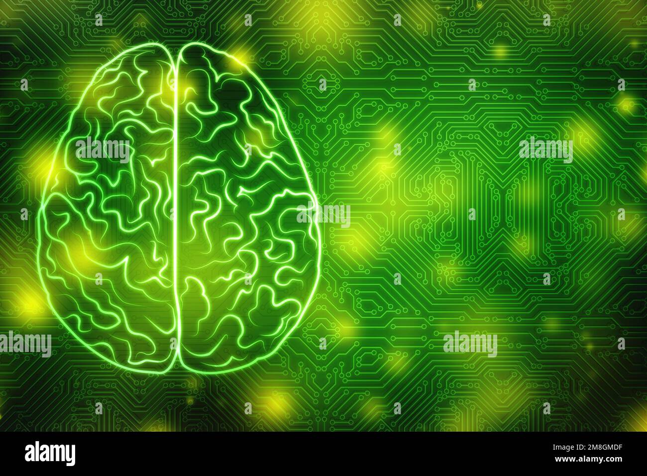 Human brain 2d illustration, Digital illustration of Human brain ...