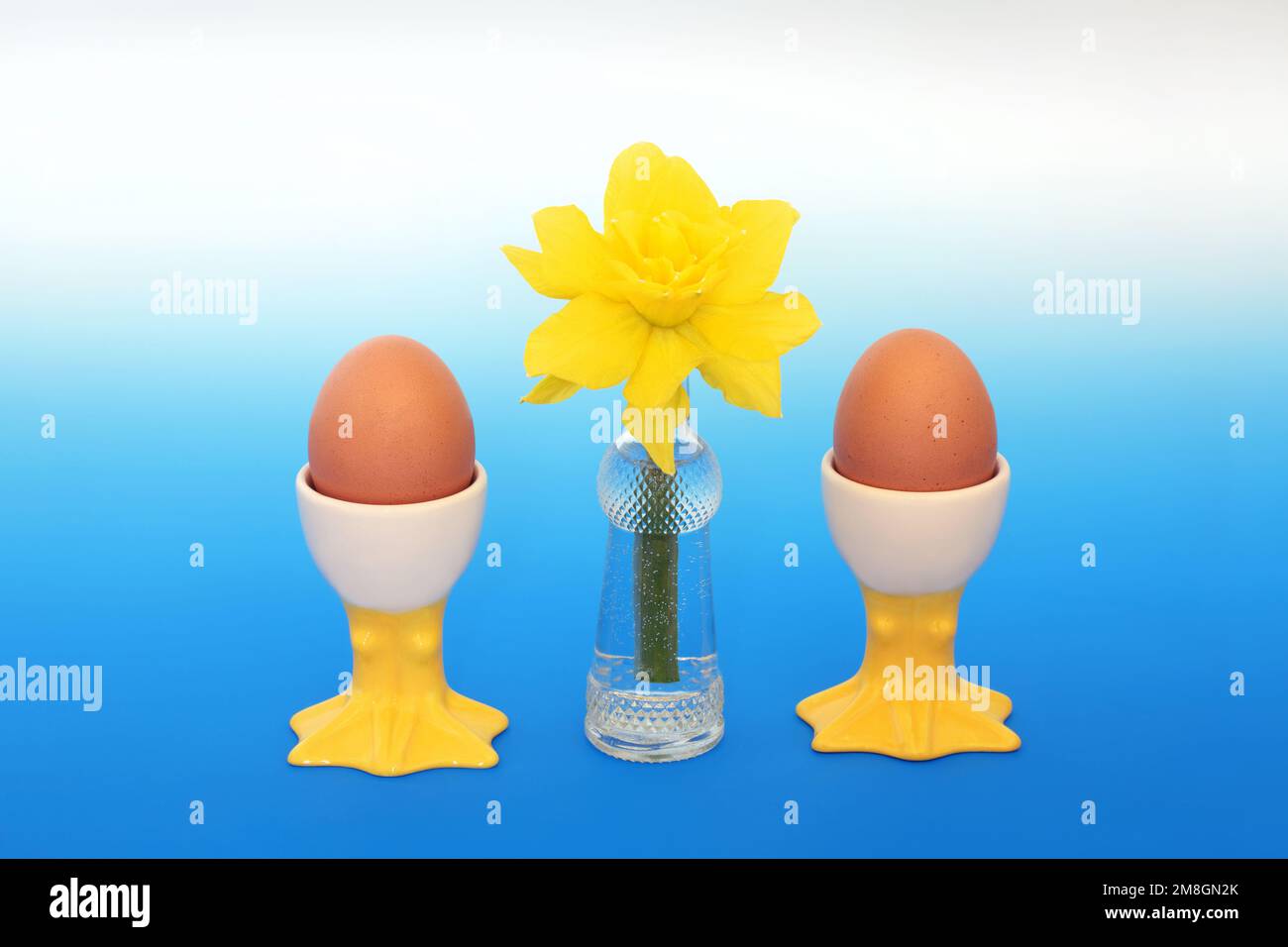 Breakfast for two with boiled eggs in novelty egg cups, daffodil flower ...