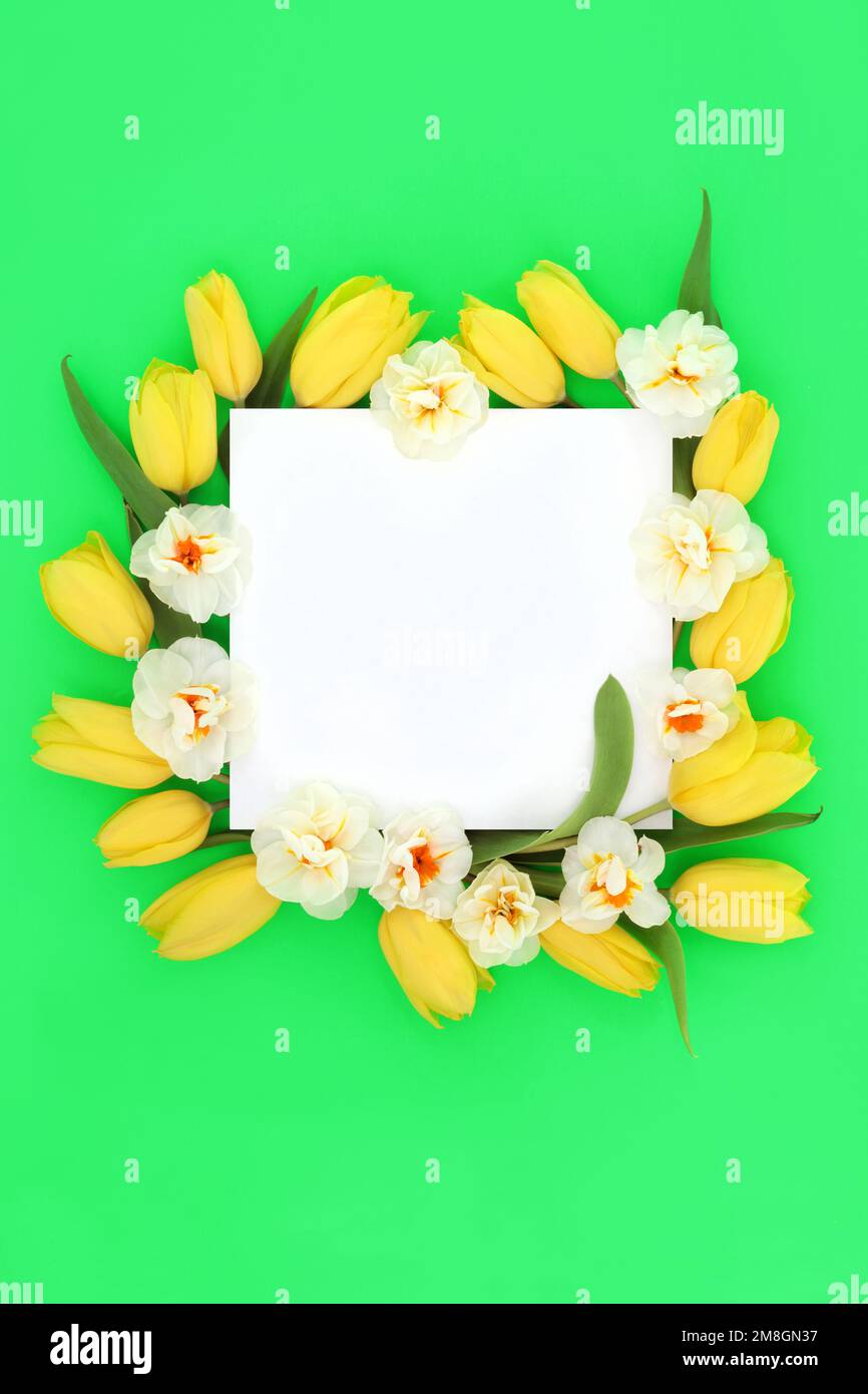 Happy Easter and Spring tulip and narcissus flower border on green ...