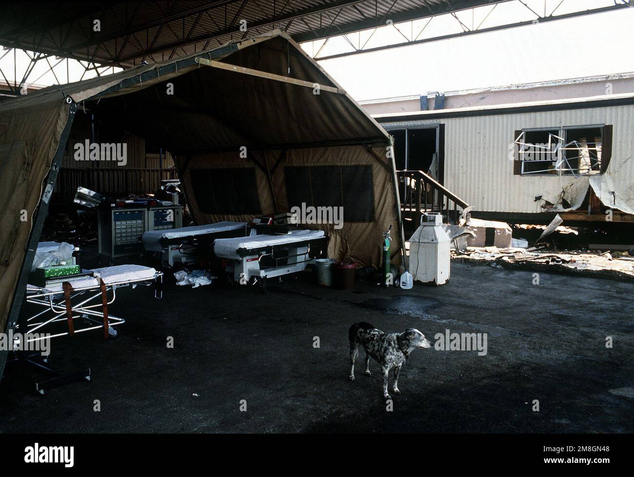 An emergency hospital is set up in a damaged hangar in the aftermath of ...