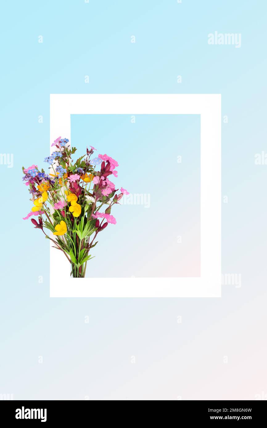 Wildflower posy with white frame on gradient blue background. Minimal ...