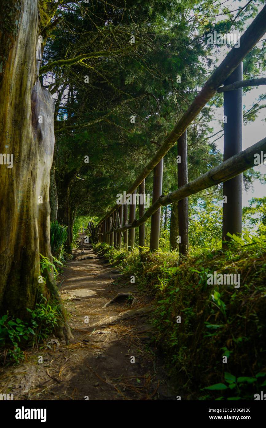The Boqueron Volcano has this path in one of its walks, this look like ...