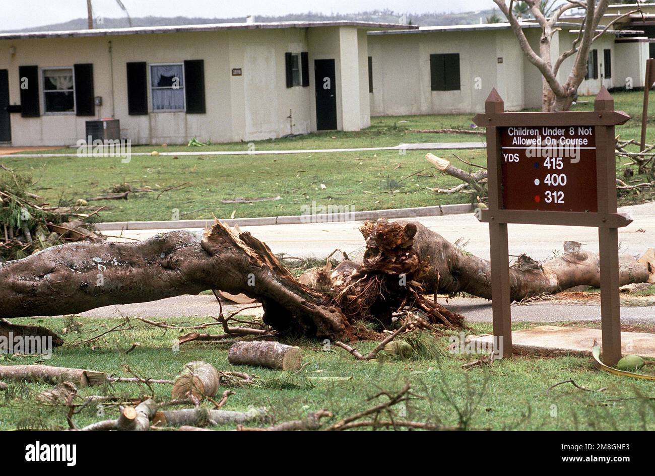 An uprooted tree is just one example of damage to the base housing area ...