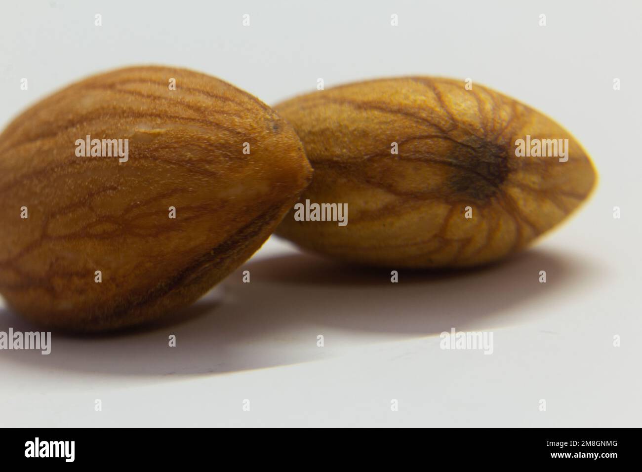 Close-up of Almond isolated on white background Stock Photo - Alamy