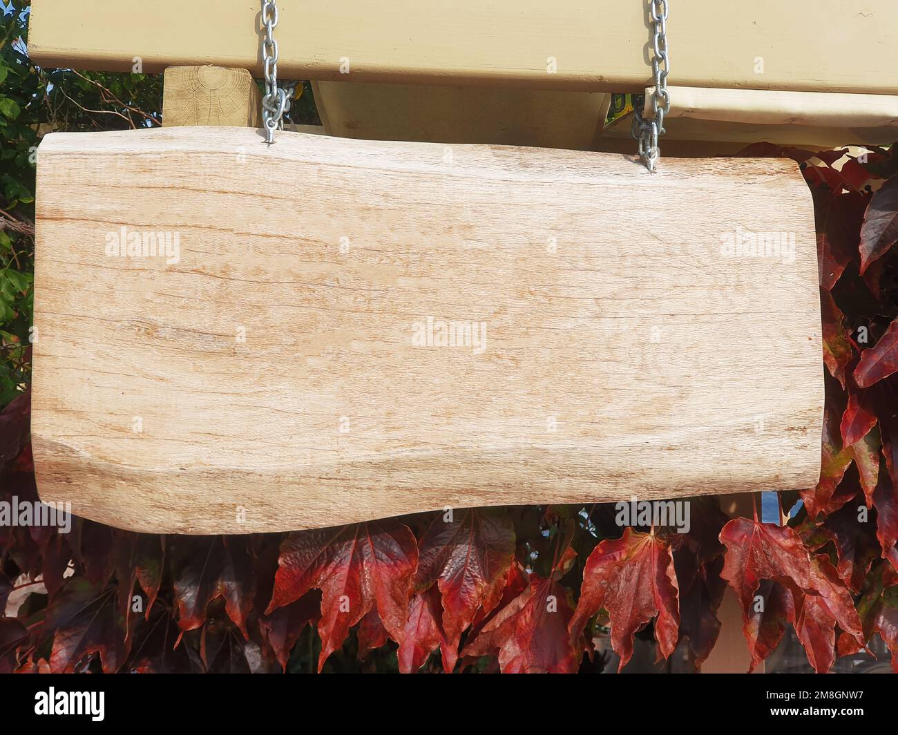 Background with wooden signboard and colorful autumn leaves Stock Photo ...