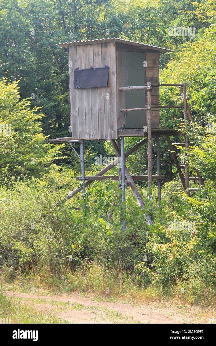 A hunting perch, hidden behind green bushes Stock Photo - Alamy