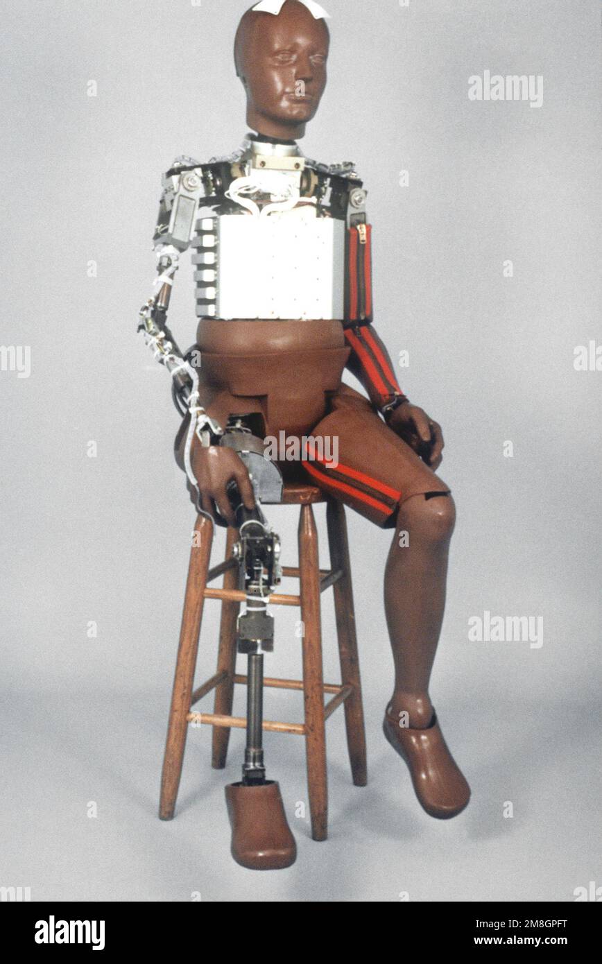 Advanced Dynamic Anthropomorphic Manikin (ADAM) represents the latest ...