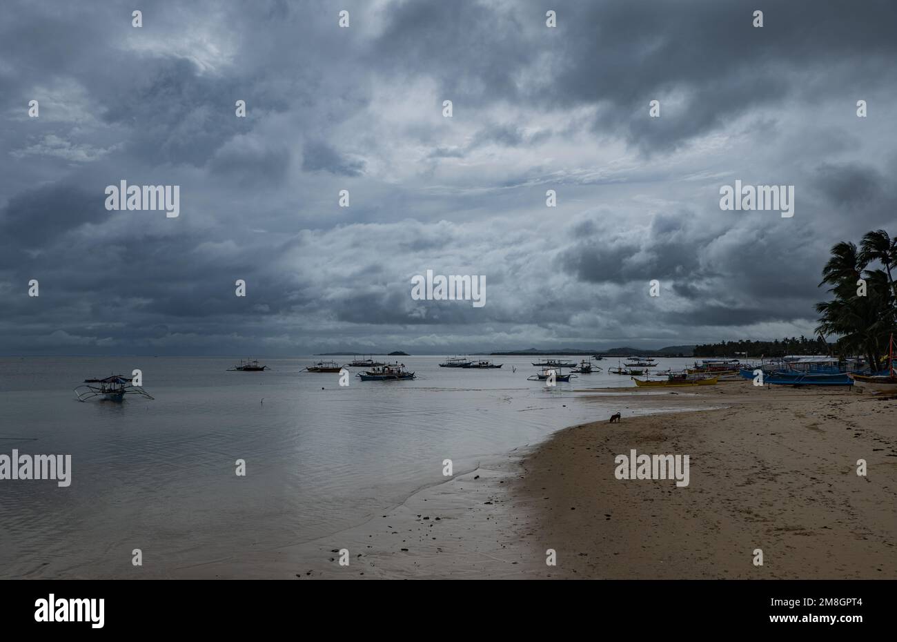 Beaches on Siargao island in the Philippines, cloudy rainy day Stock Photo - Alamy