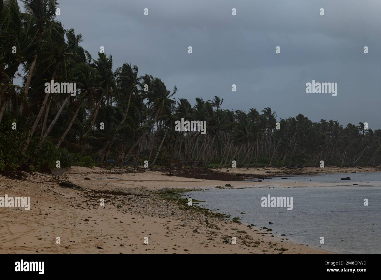 Beaches on Siargao island in the Philippines, cloudy rainy day Stock ...