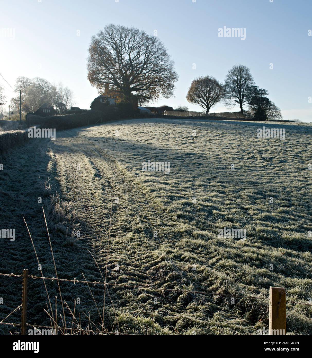 Frosty winter scenes near Tenterden, Kent, UK Stock Photo - Alamy