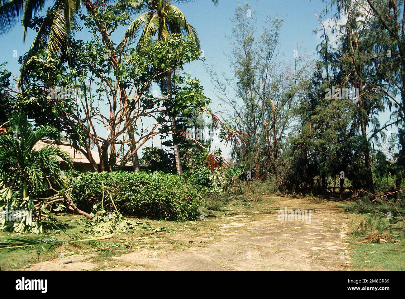Broken branches litter the ground near the administration building at ...