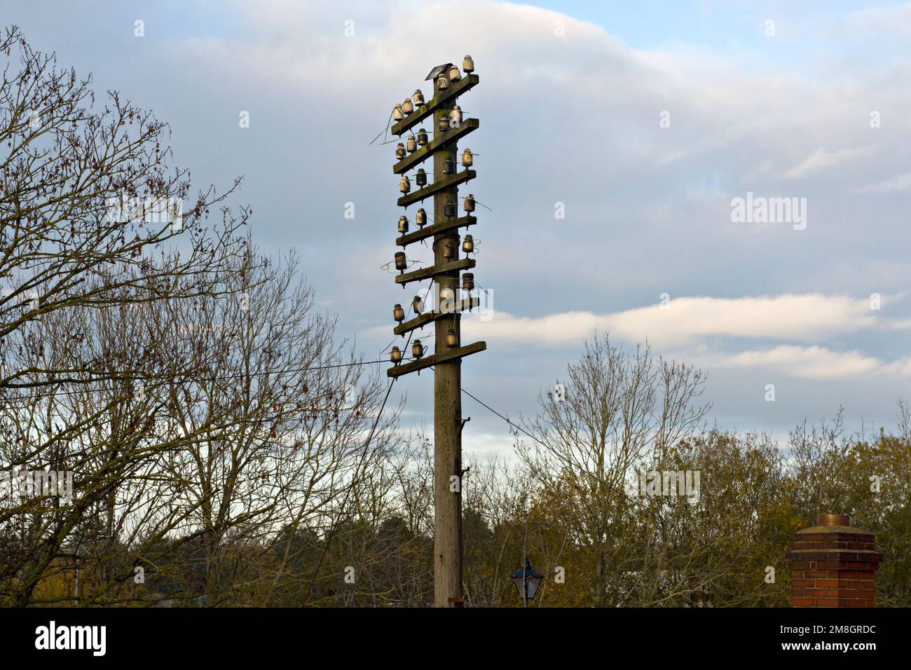 Unused telegraph pole with insulators at Wymondham railway station ...