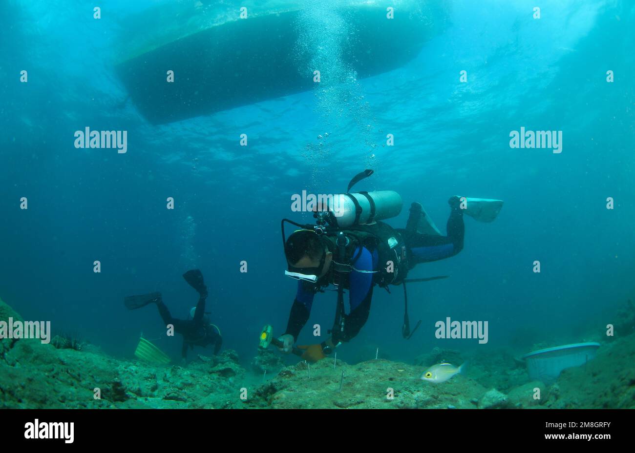 China’s coral reefs hi-res stock photography and images - Alamy