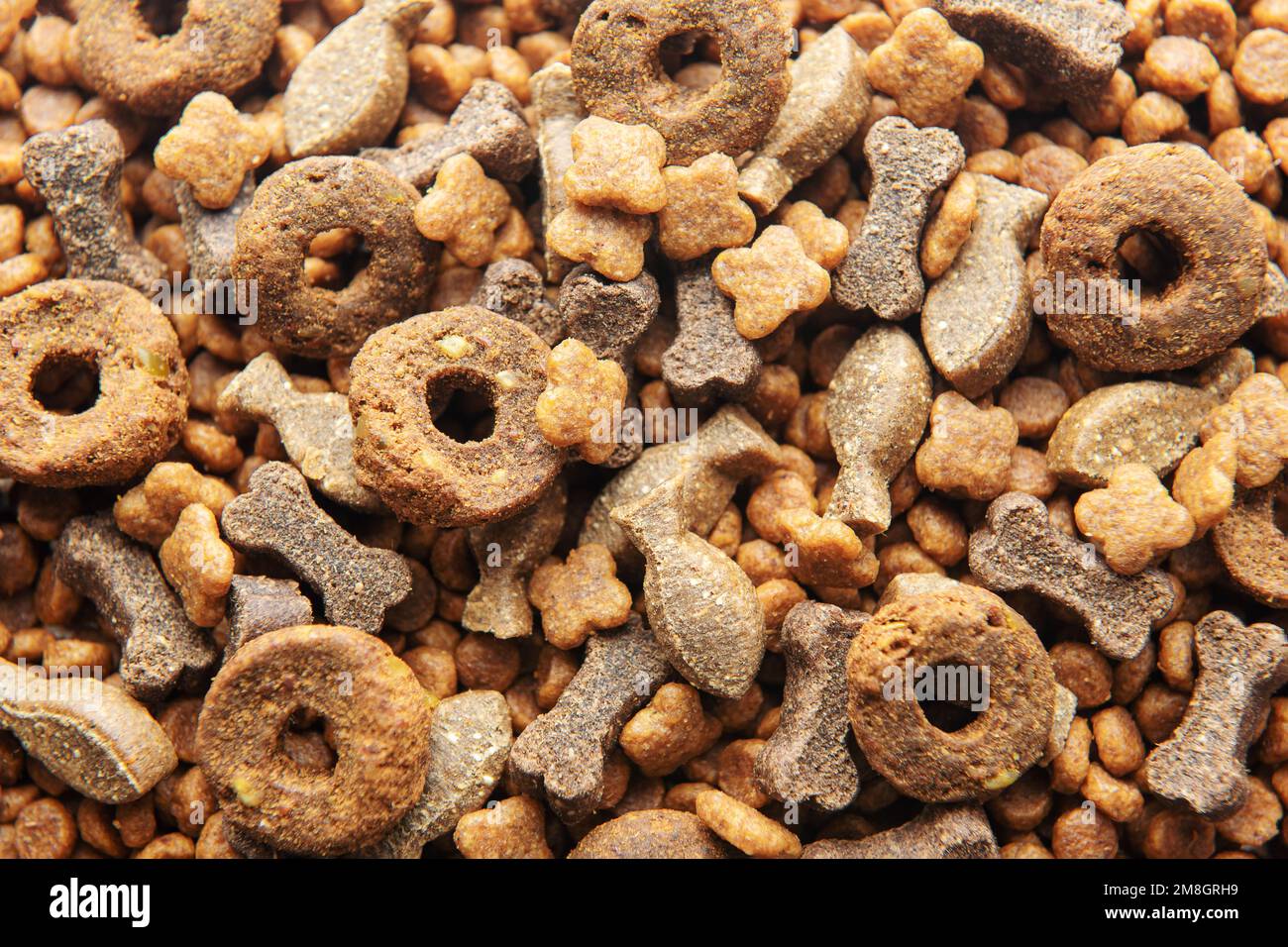 Dry food for dogs of different shapes as a food background. Healthy ...
