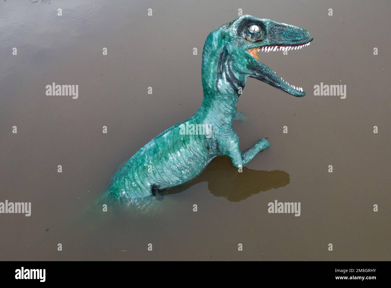 Stourport dinosaur hi-res stock photography and images - Alamy