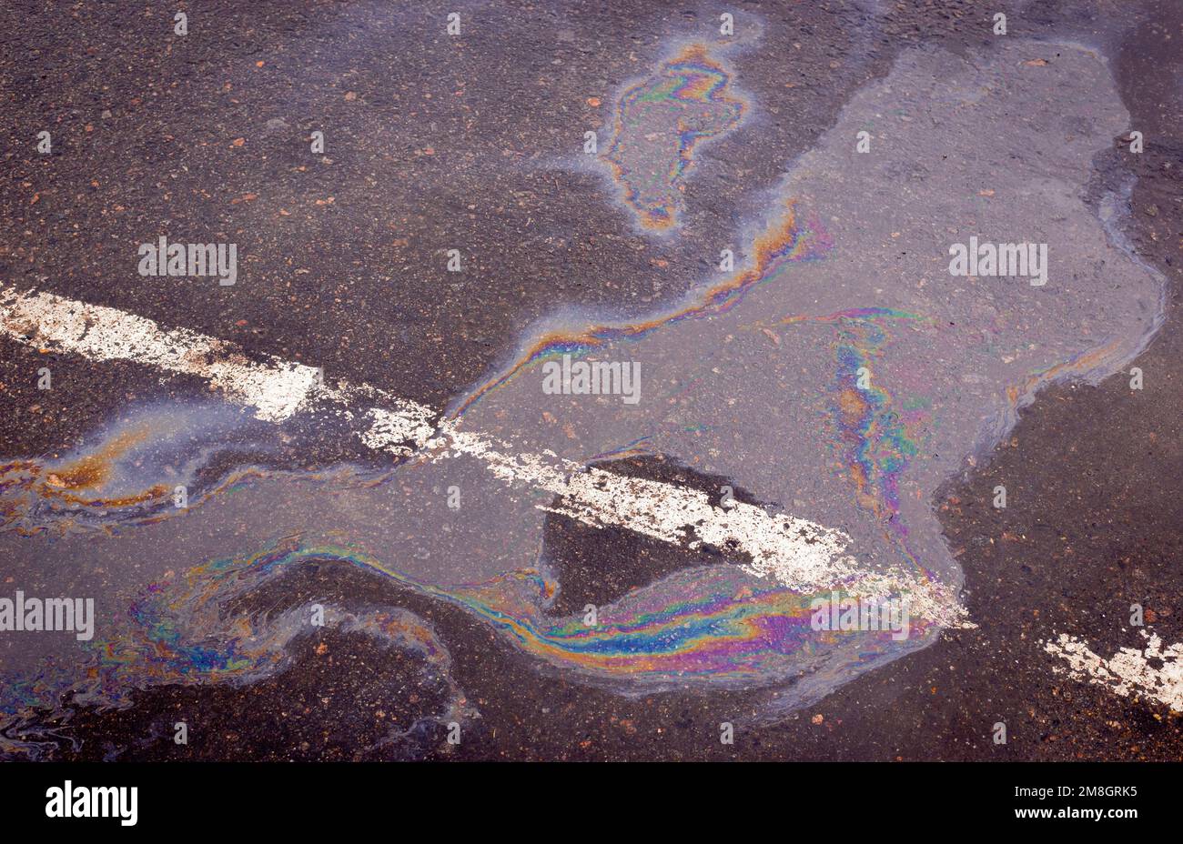 Gasoline spill on asphalt with a white dividing strip in a car park as ...
