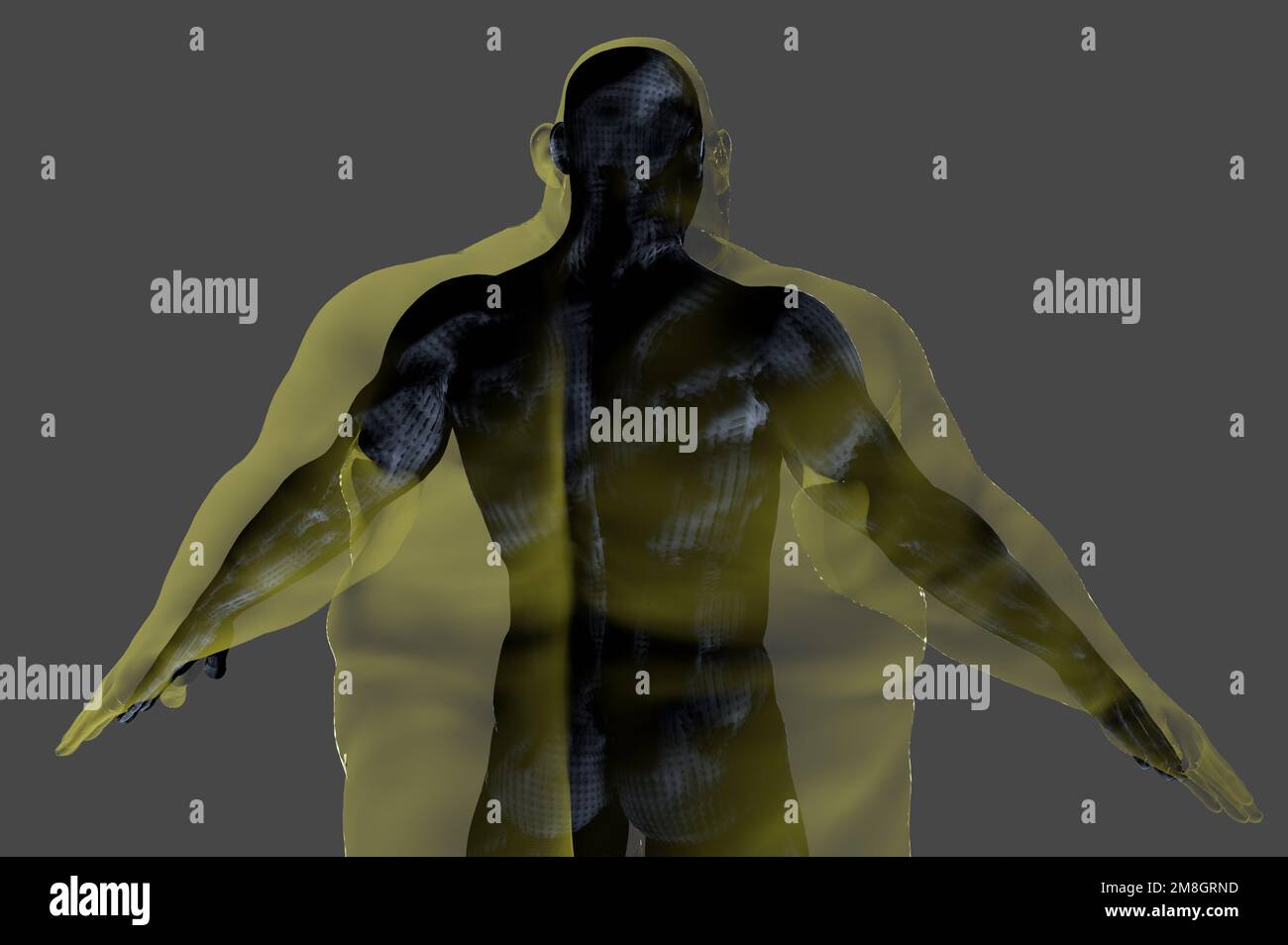 3D render. Athletic man inside an obese body on a gray background Stock ...