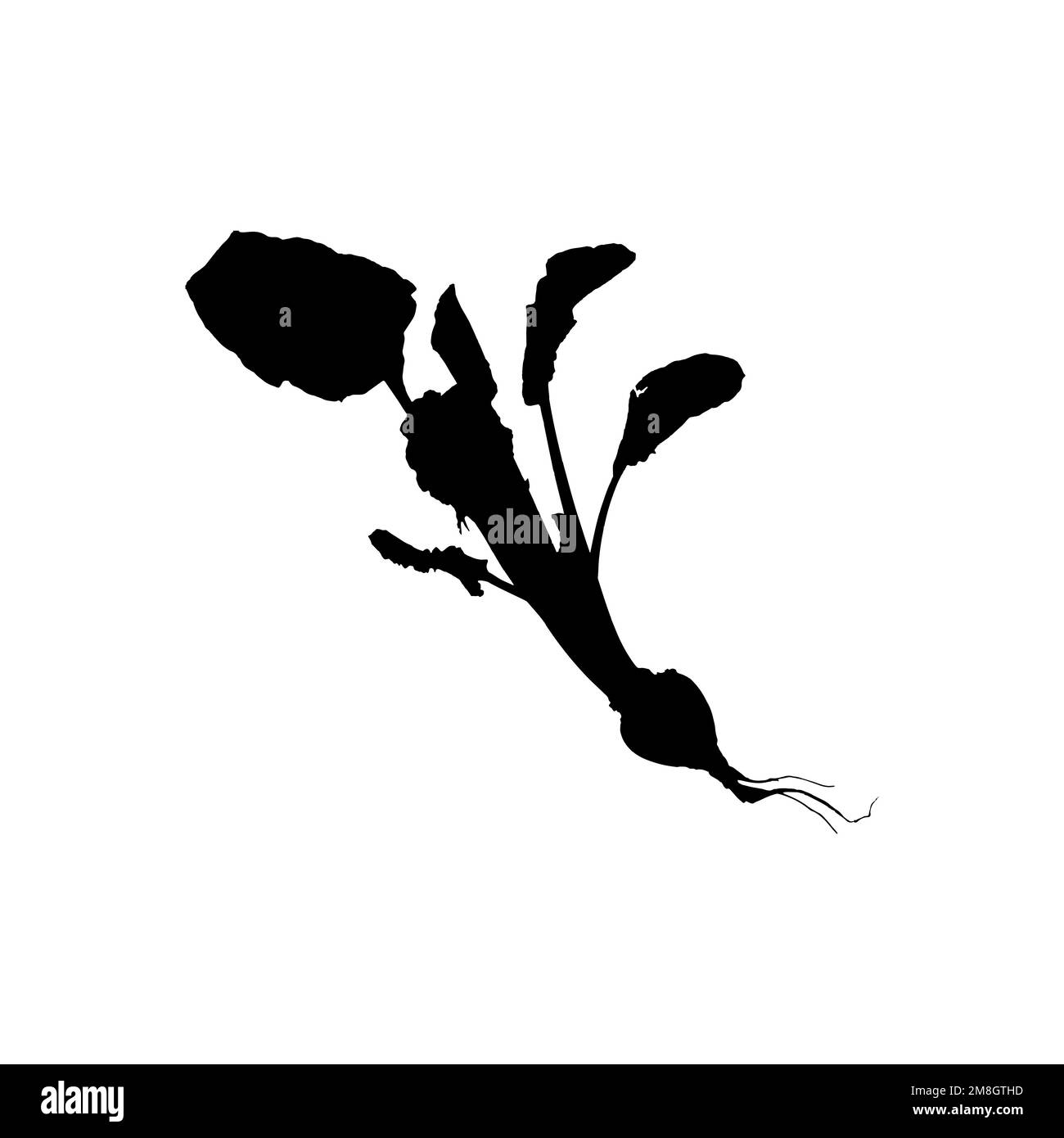 Beet icon. Simple style farm product big sale poster background symbol ...