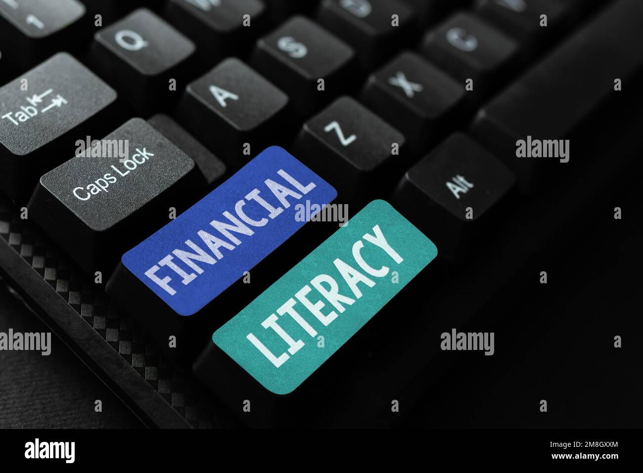 Text showing inspiration Financial Literacy. Word Written on Understand ...