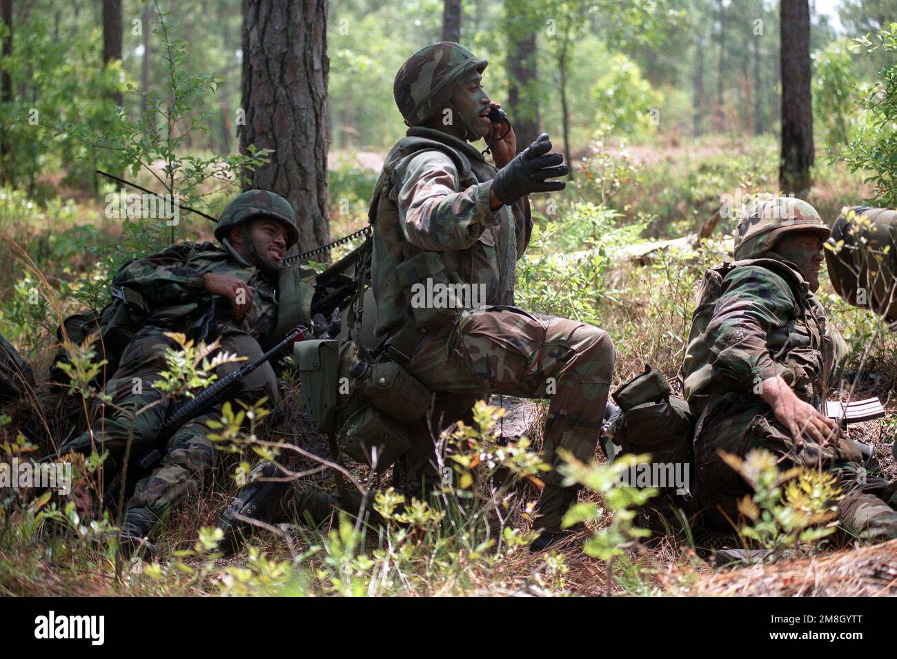 Two Marines with M16A2 rifles in prone positions in a light wooded and ...