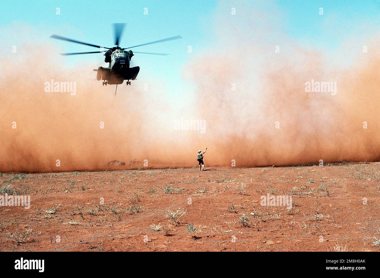 A Marine Heavy Helicopter Squadron 363 (HMH-363) CH-53D Sea Stallion ...
