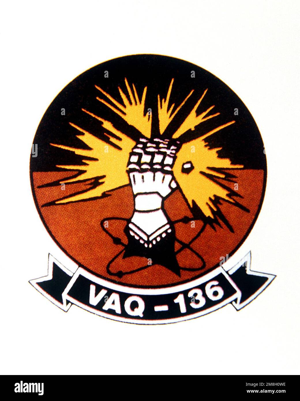 A view of the logo of Tactical Electronic Warfare Squadron 136 (VAQ-136 ...