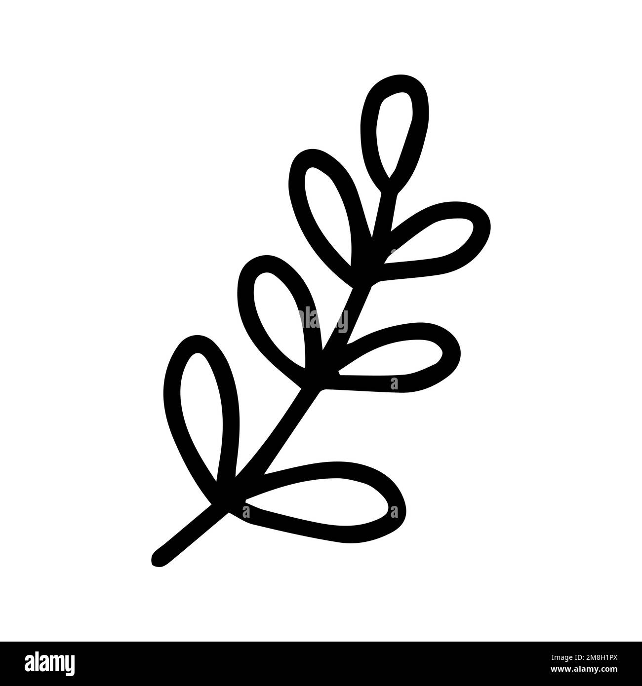 Vector branch with leaves Stock Vector Image & Art - Alamy