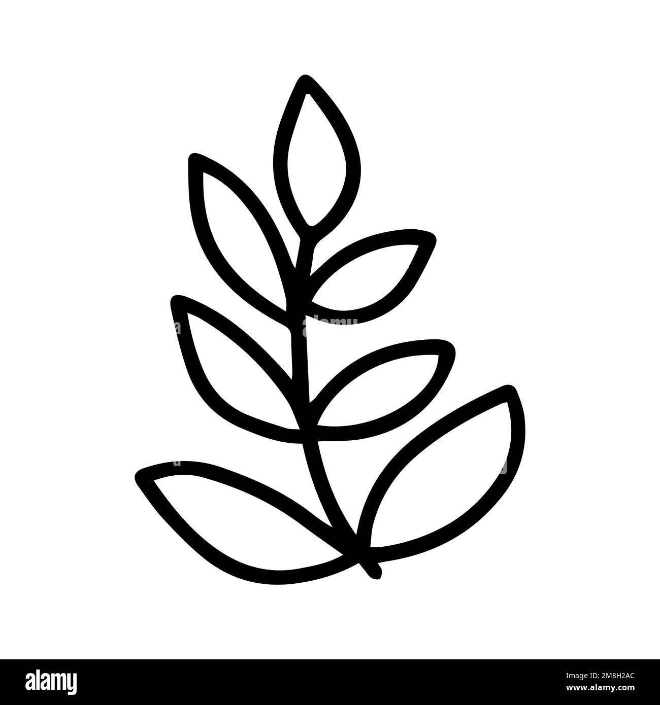 Vector branch with leaves Stock Vector Image & Art - Alamy