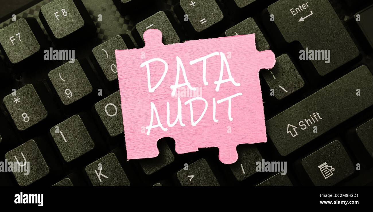 Writing Displaying Text Data Audit Business Showcase Auditing Of Data To Assess Its Quality For