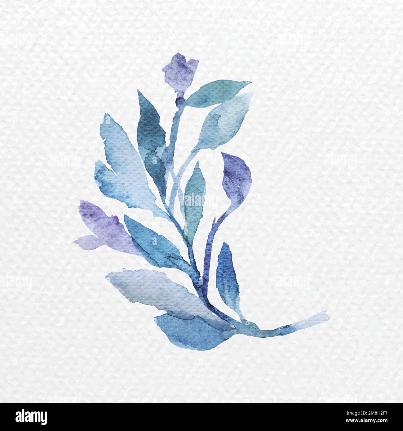 Watercolor branch design element vector Stock Vector Image & Art - Alamy