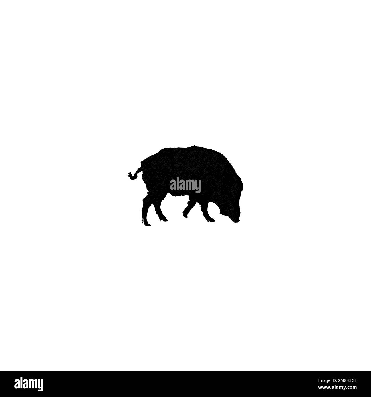 Boar emblem Black and White Stock Photos & Images - Alamy