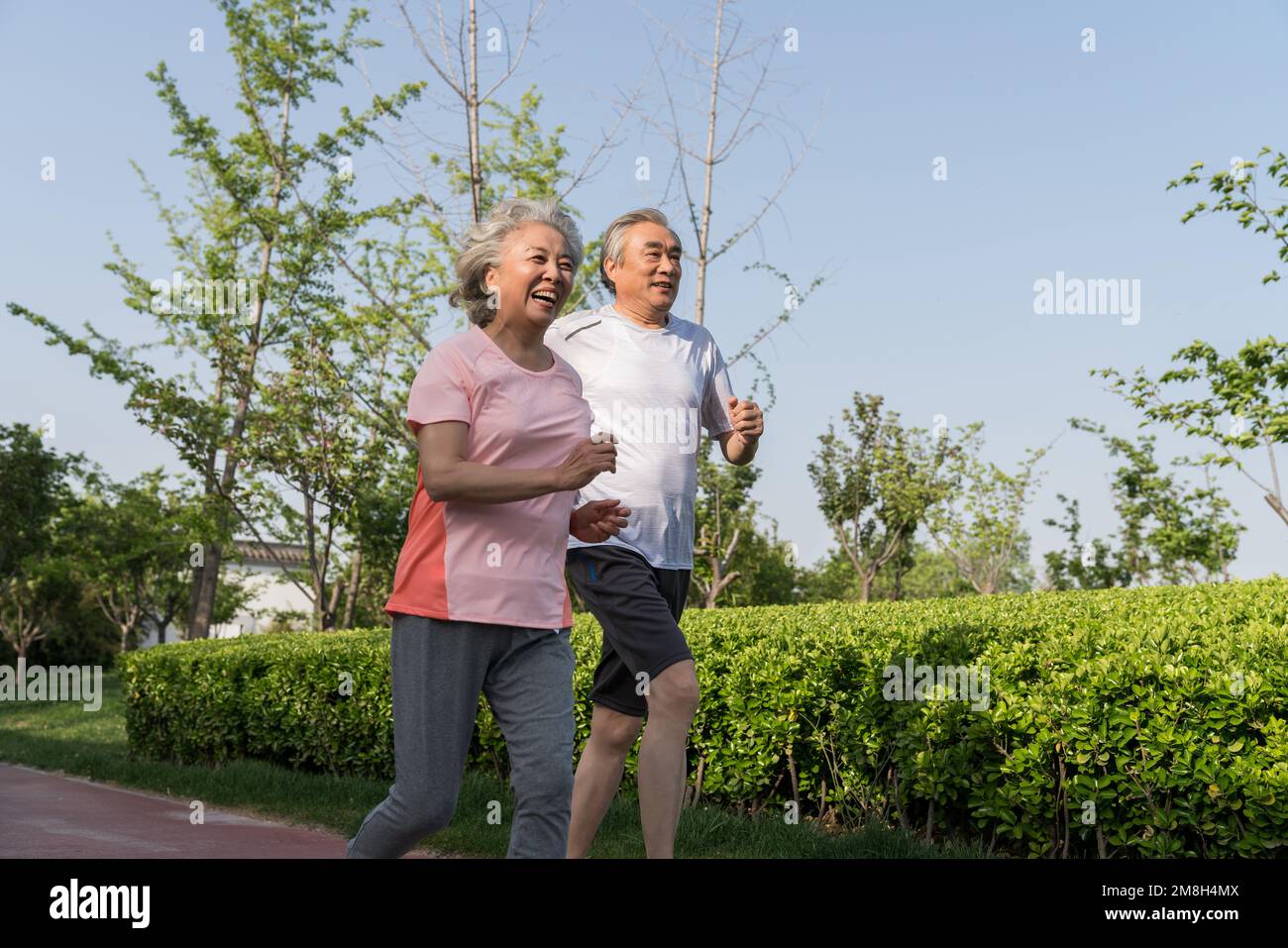 Elderly couples health movement Stock Photo - Alamy