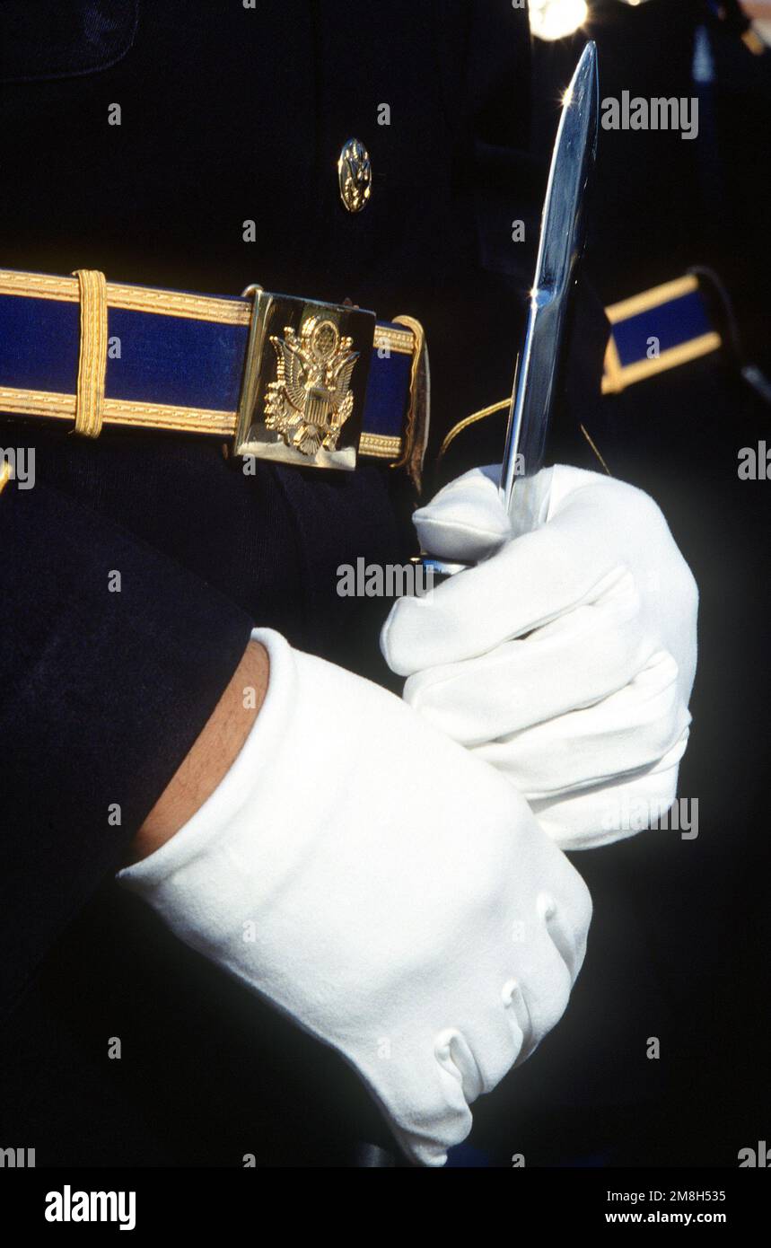 Fixed Bayonet/Parade Rest. A member of the US Army 3rd Infantry, E ...