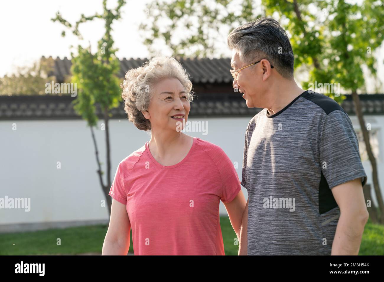 Elderly couples health movement Stock Photo - Alamy