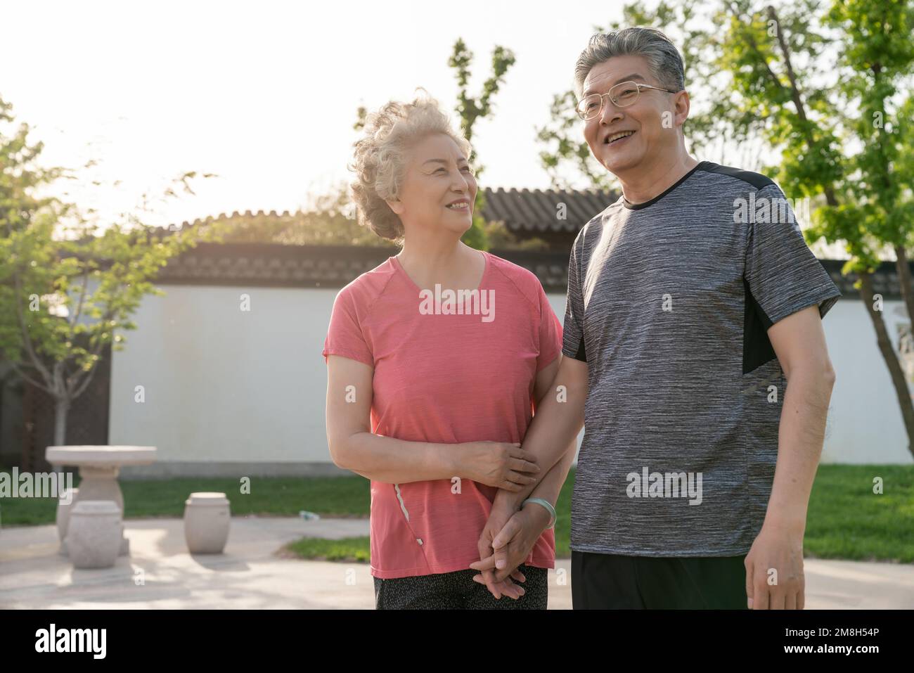 Elderly couples health movement Stock Photo - Alamy