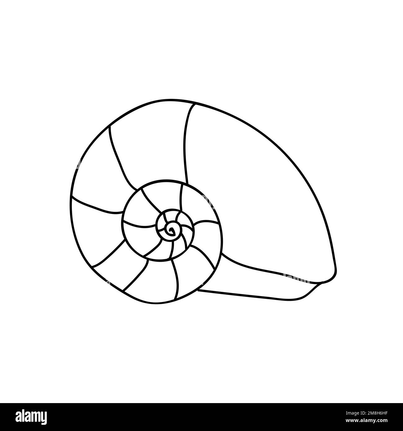 Seashell vector hand drawn Stock Vector Image & Art - Alamy