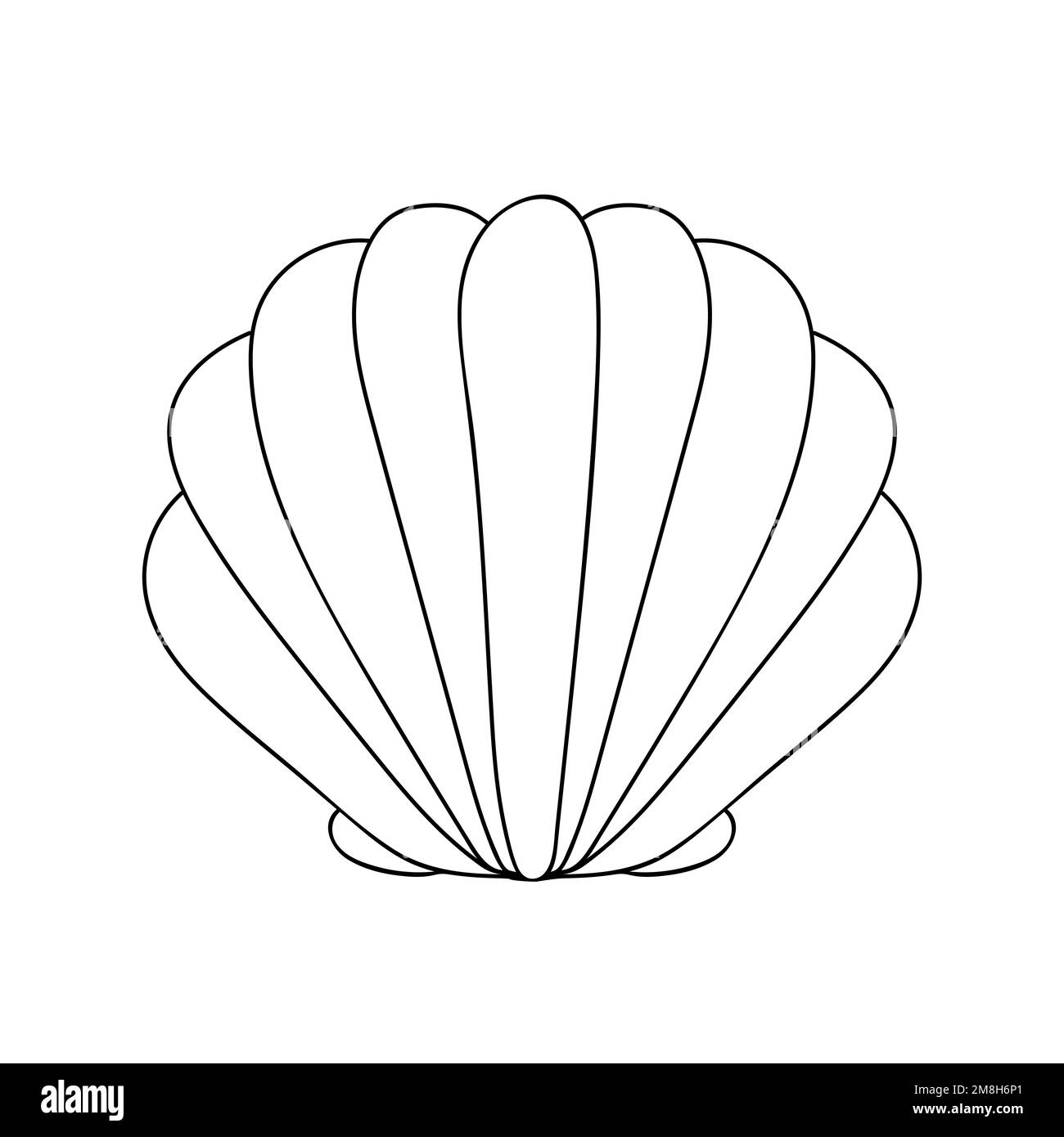Seashell vector hand drawn Stock Vector Image & Art - Alamy